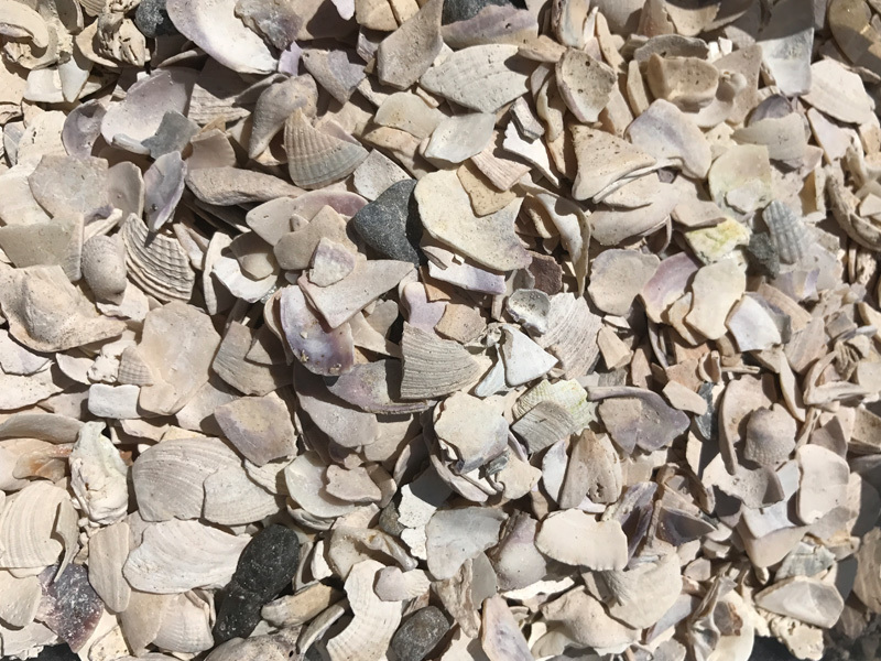 DIY home landscaping Kapiti Coast | Decorative stone Kapiti