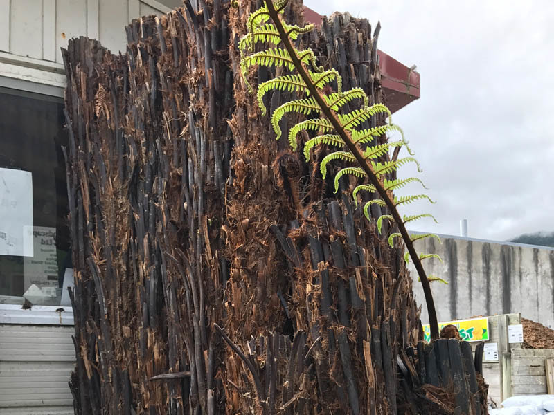 Kapiti fIrewood | Dry firewood Kapiti Coast and Horowhenua